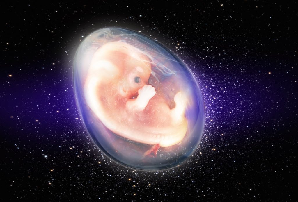 'Un mundo feliz', la perfección no es tan perfecta como parece - Las ...