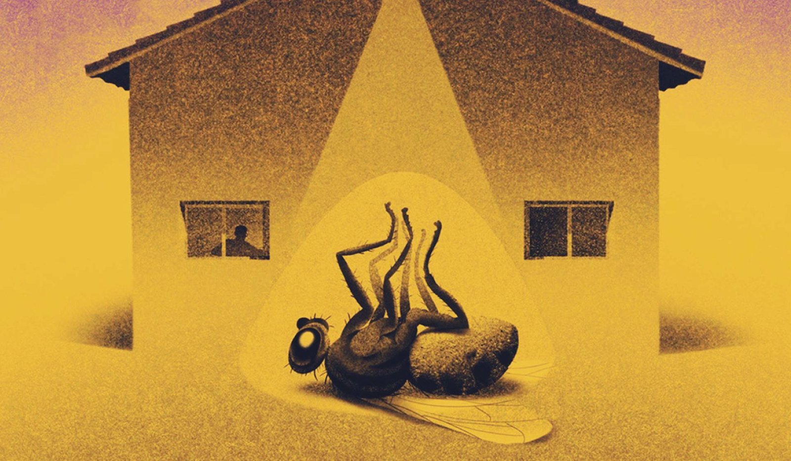 'Miasis': soledad y terror en el Desierto de Tabernas - Las Furias ...