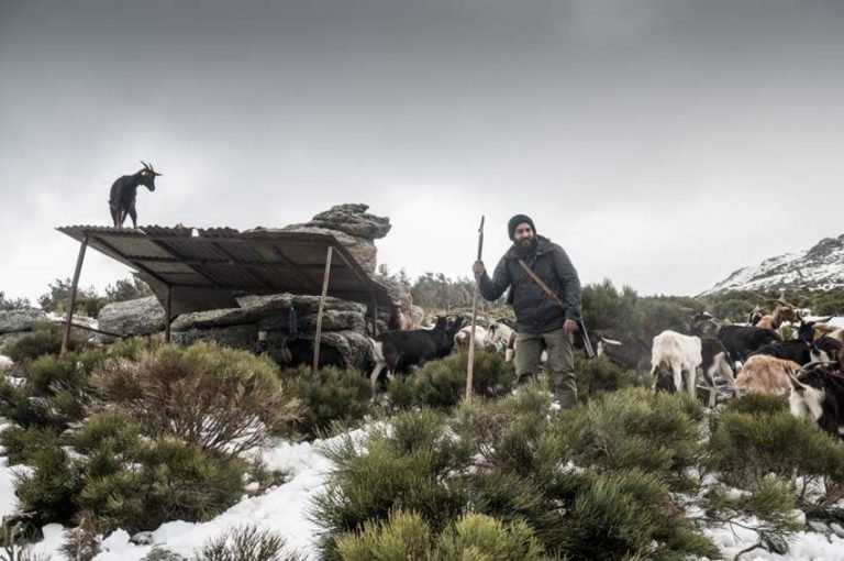'Apagón': Tráiler de la serie que reúne a lo mejor del cine Español